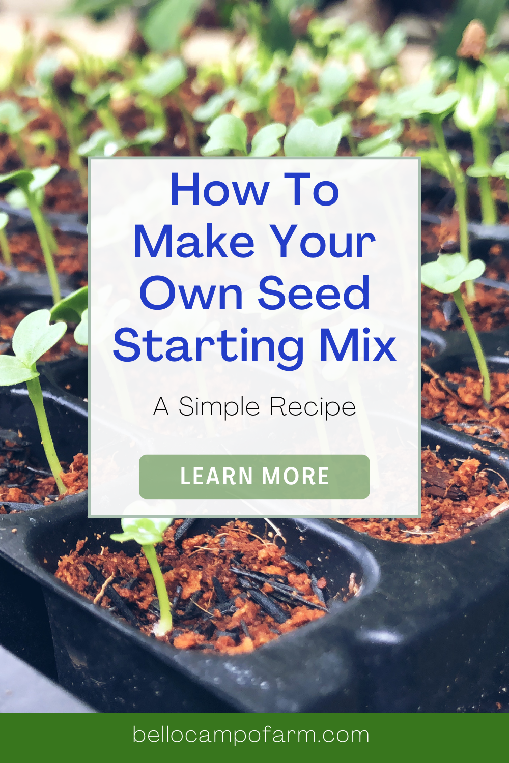 How To Make Your Own Seed Starting Mix - Bello Campo Farm